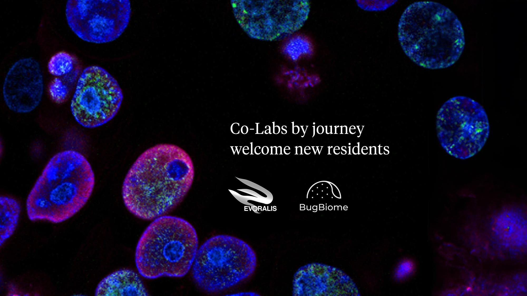 BugBiome and Evoralis become the first resident companies at Co-Labs by journey - Journey
